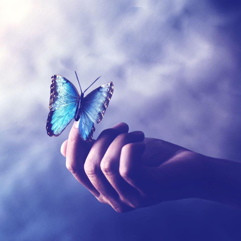 Introducing Mediumship Certification - Level II - SCHOOL OF MYSTICAL ARTS