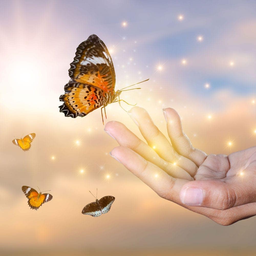 Spiritual Life Coach Certification - SCHOOL OF MYSTICAL ARTS